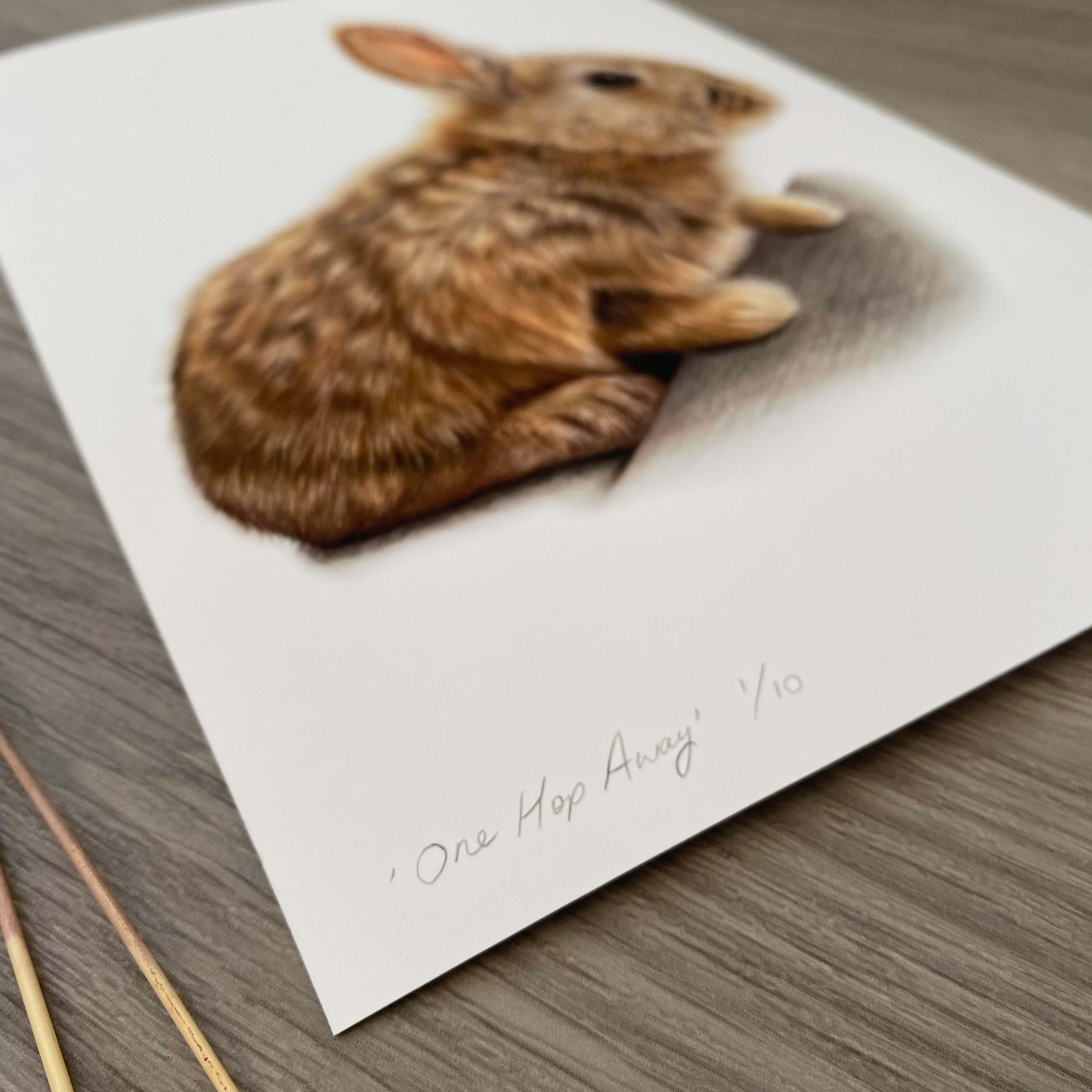 Limited Edition Print of Rabbit, ‘one Hop Away’ - Etsy