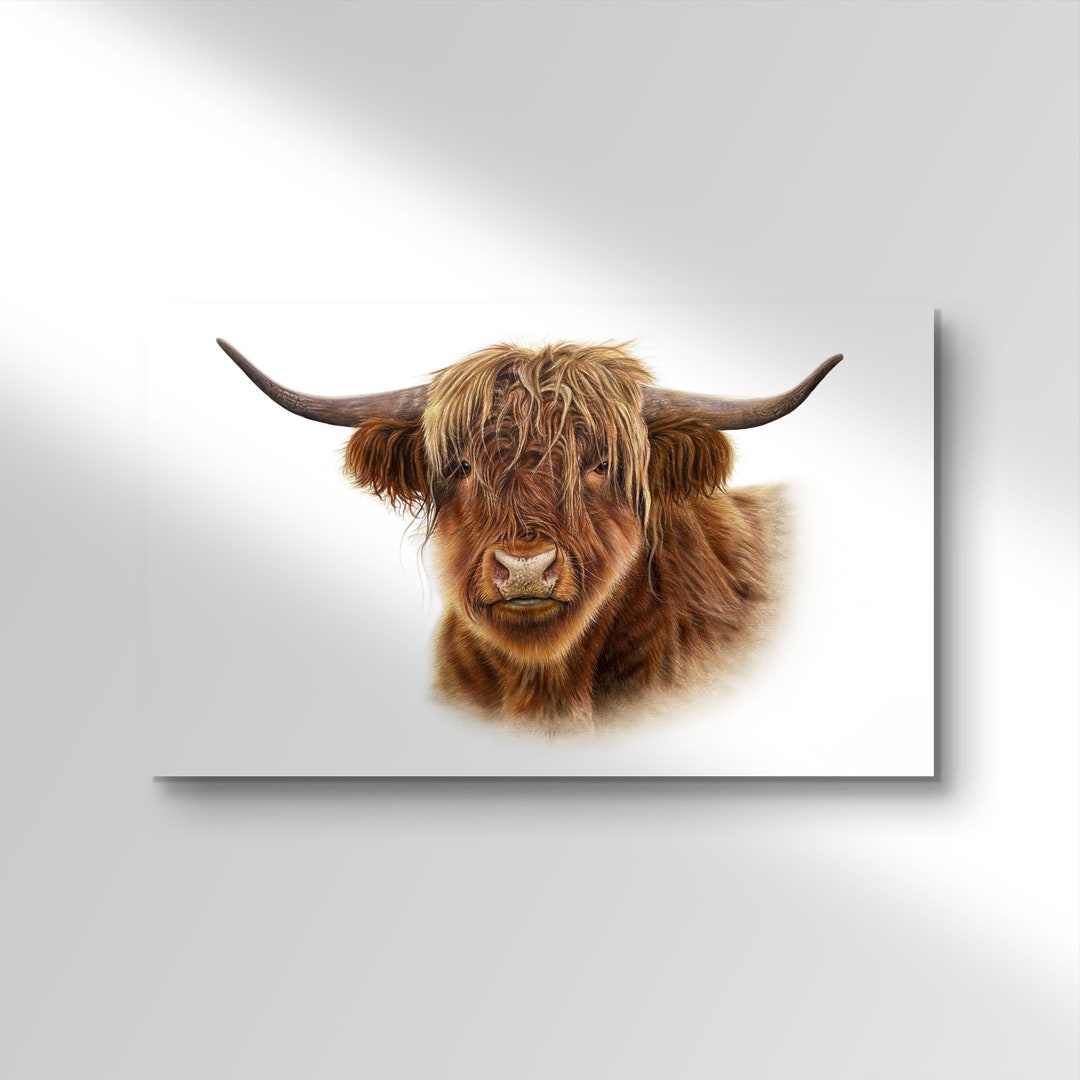 Highland Cow Print, ‘windswept’ Fine Art Giclee Print, Highland Cow Art ...