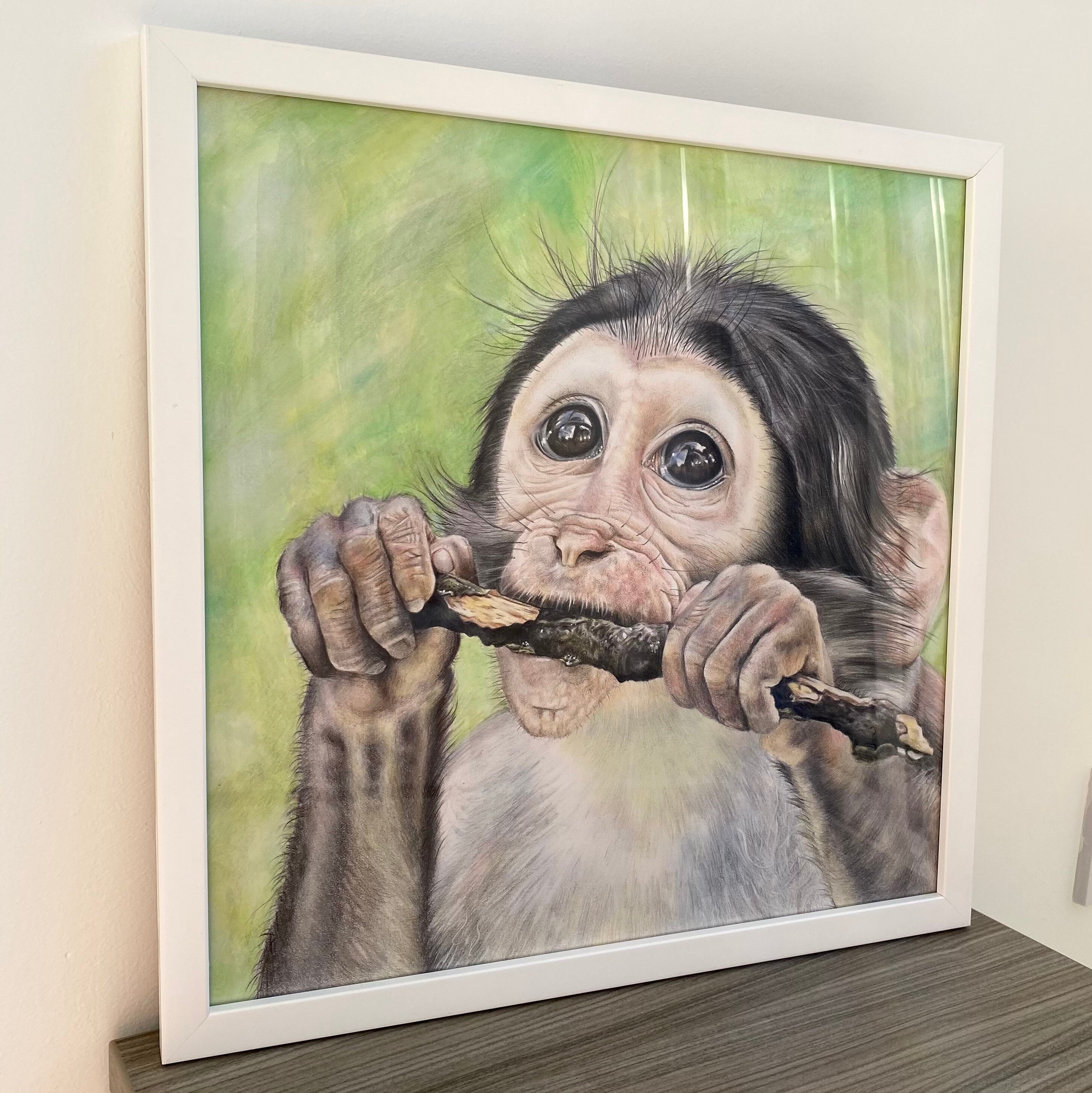 Realistische Affenzeichnungen