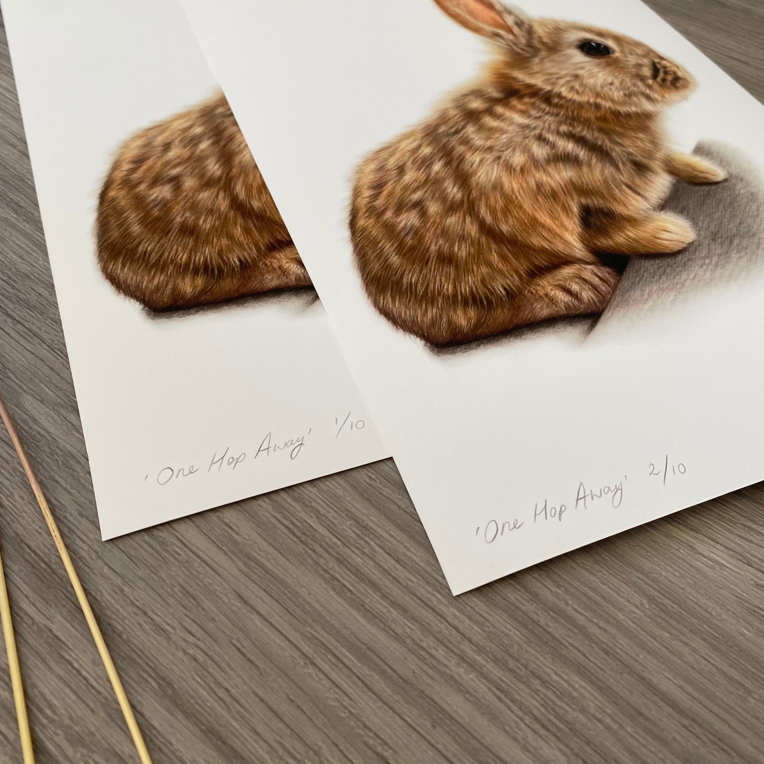 Limited Edition Print of Rabbit, ‘one Hop Away’ - Etsy