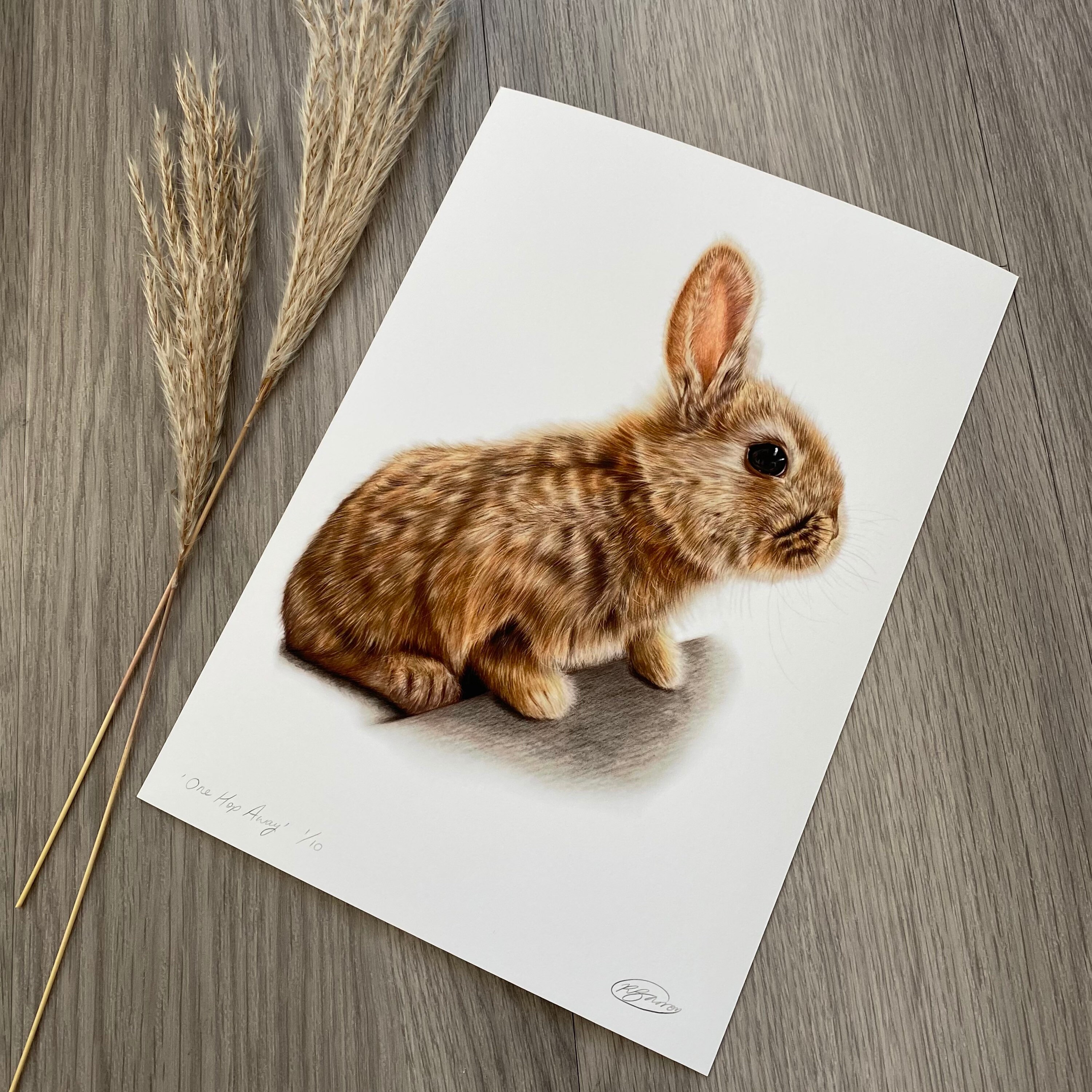Limited Edition Print of Rabbit, ‘one Hop Away’ - Etsy