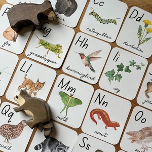 The Woodland Alphabet, Nature Printable Cards for Kids, Forest Alphabet ...