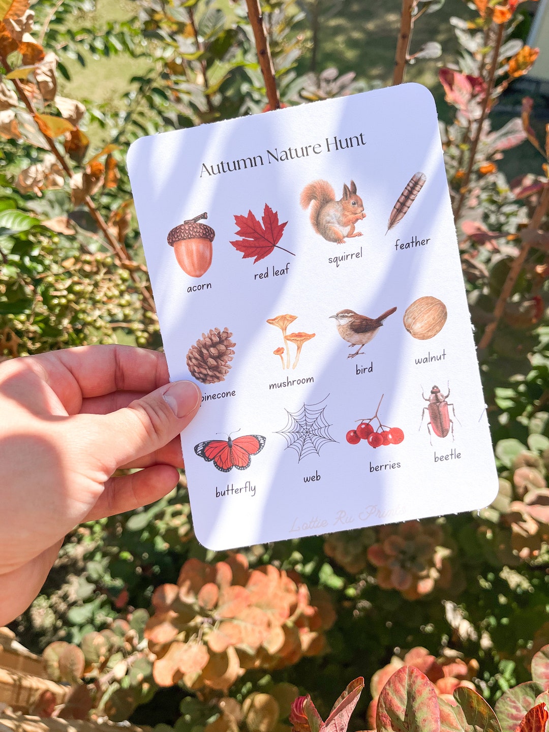 Fall Seasonal Nature Scavenger Hunt Printable, Toddler Outdoor Activity ...