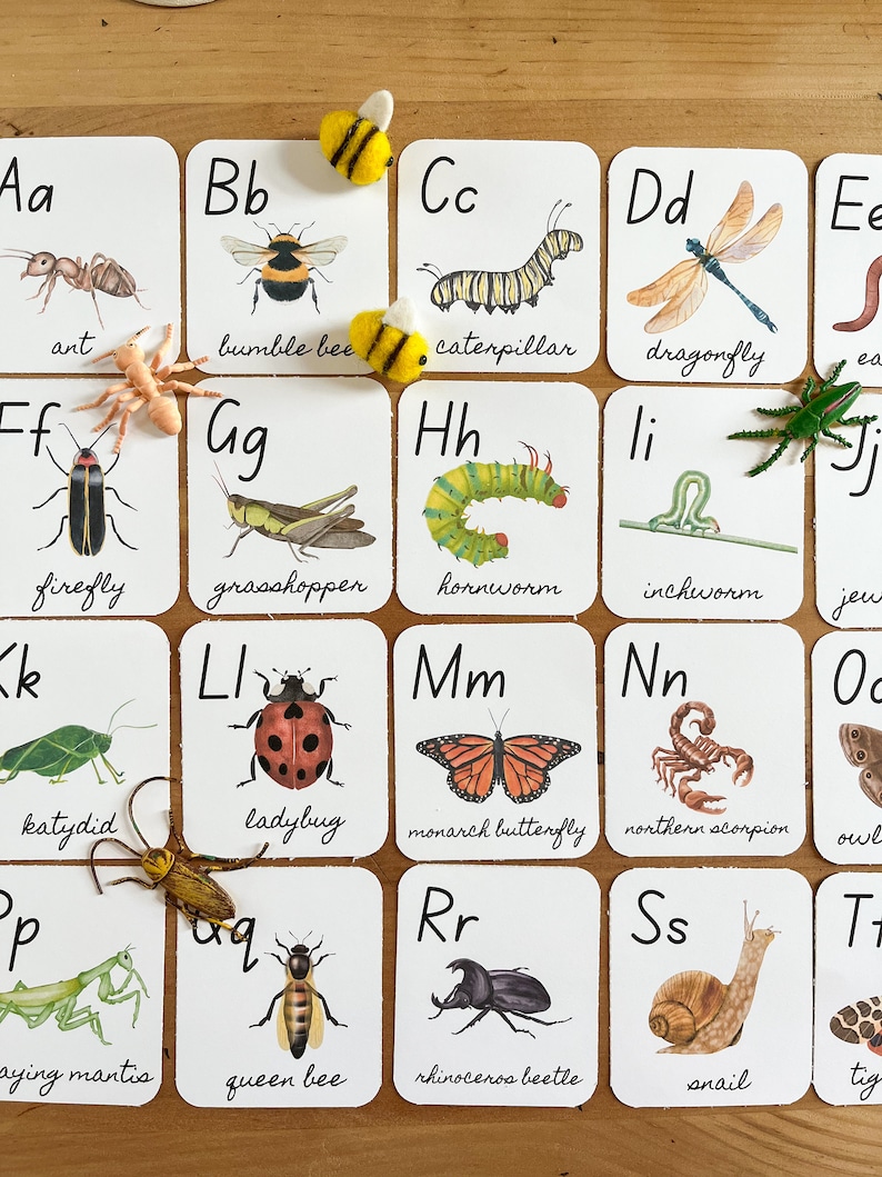 The Crawly Alphabet, Printable Cards for Kids, Insects Arachnids ...