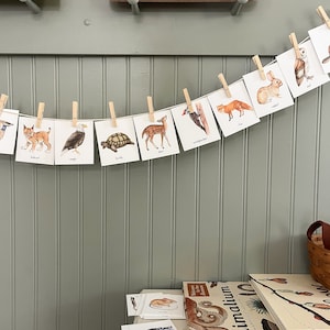 Woodland Animal Flash Cards Printable, Educational Digital Download for ...
