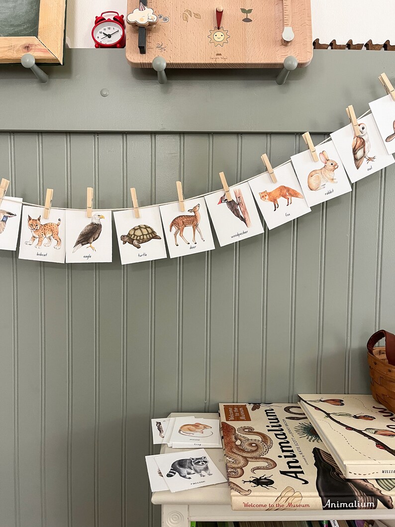 Woodland Animal Flash Cards Printable, Educational Digital Download for ...