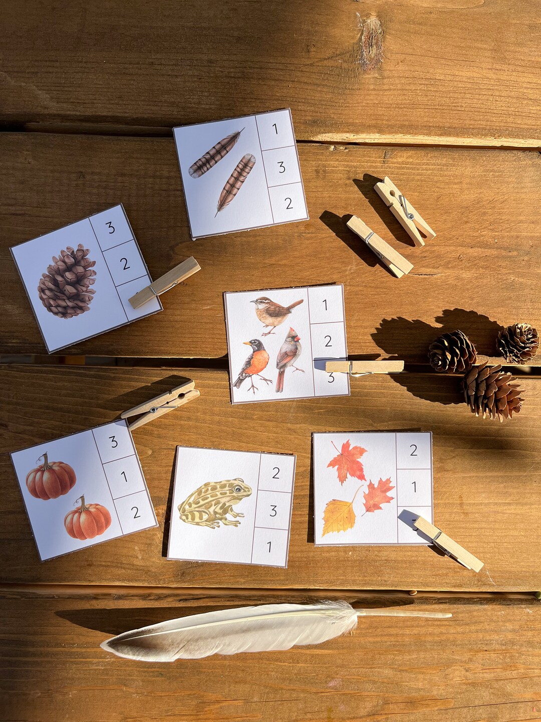Fall Nature Count and Clip Cards for Toddlers, Preschool Homeschool ...