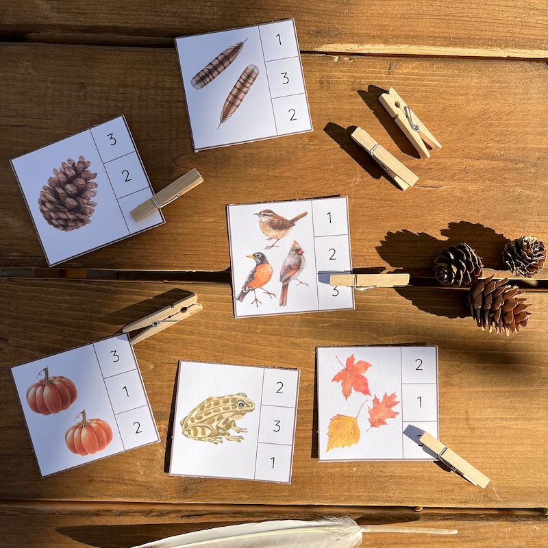 Count and Clip Cards - Etsy