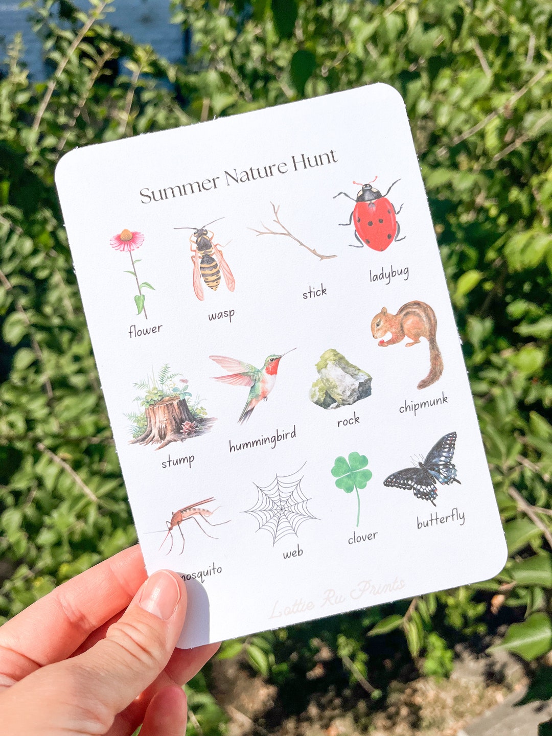 Summer Seasonal Nature Scavenger Hunt Printable, Toddler Outdoor ...