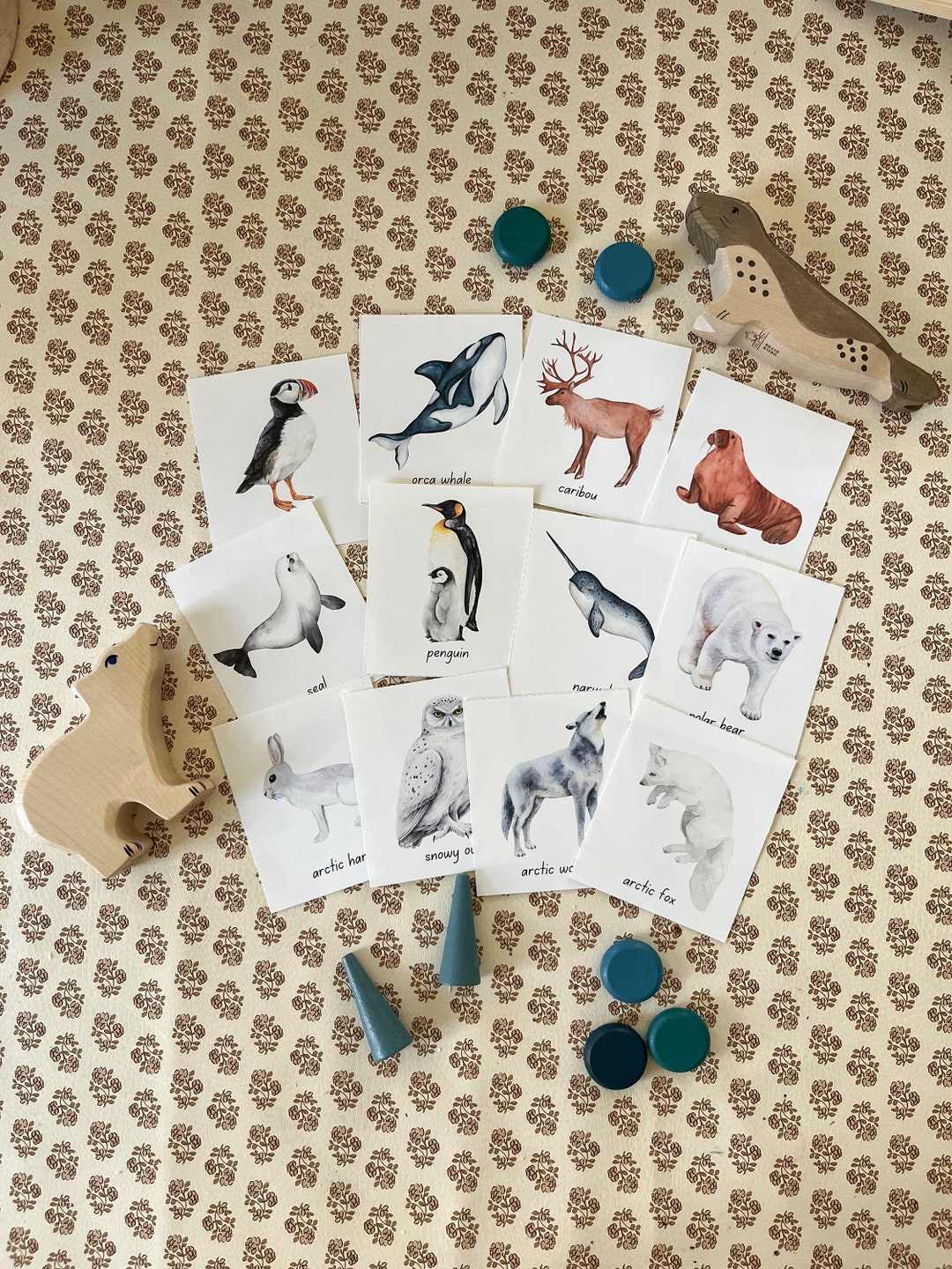 Arctic Animal Flash Cards Printable, Educational Digital Download for ...