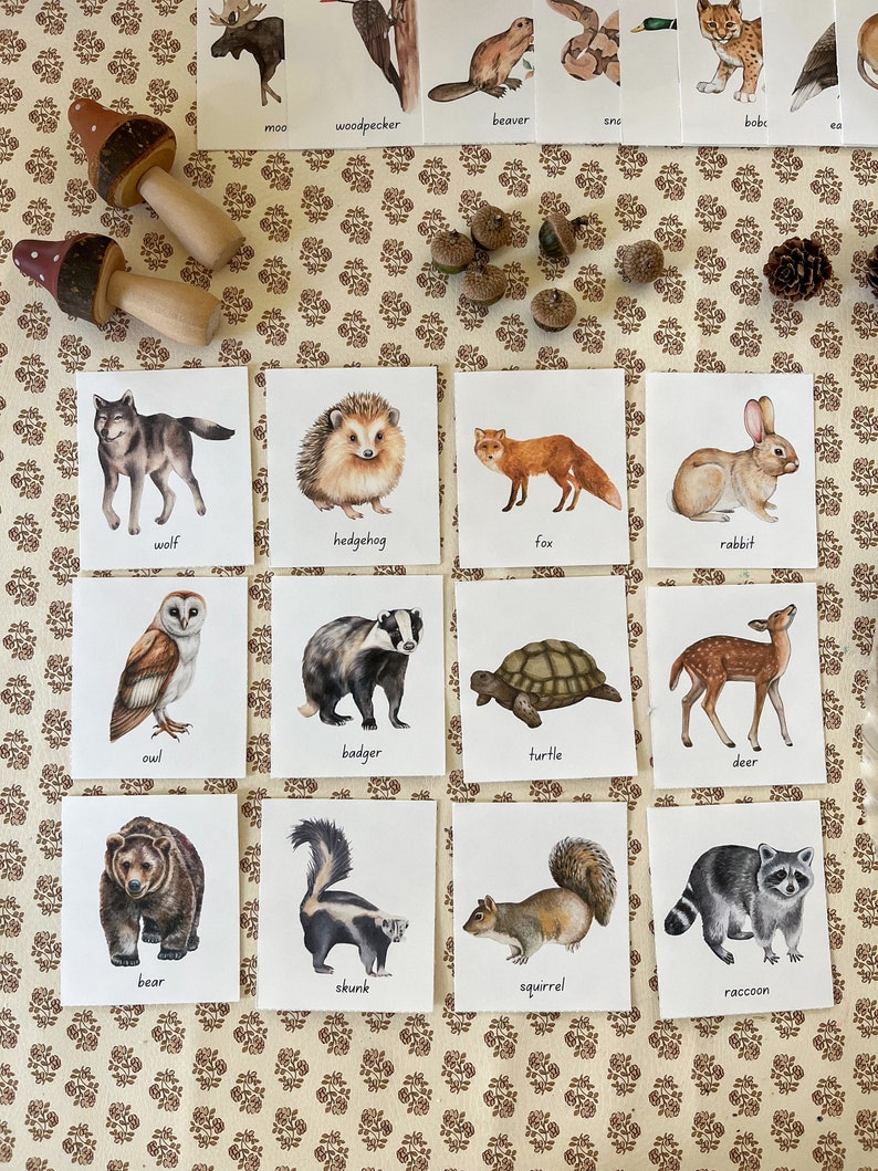Woodland Animal Flash Cards Printable, Educational Digital Download for ...