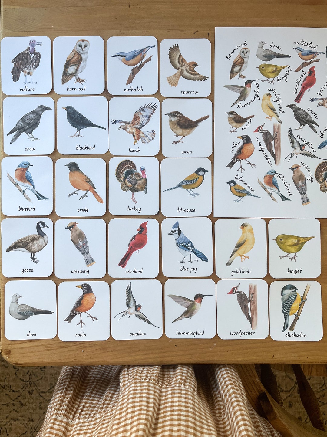 Bird Flash Cards & Poster Printable, Educational Digital Download for ...