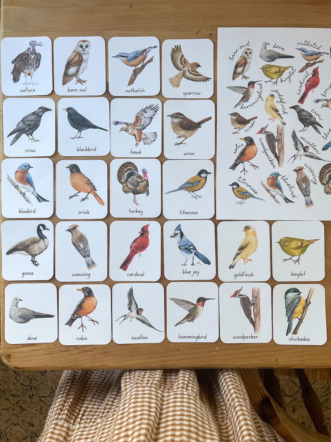 Bird Flash Cards & Poster Printable, Educational Digital Download for ...