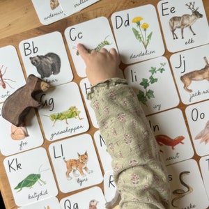 The Woodland Alphabet, Nature Printable Cards for Kids, Forest Alphabet ...