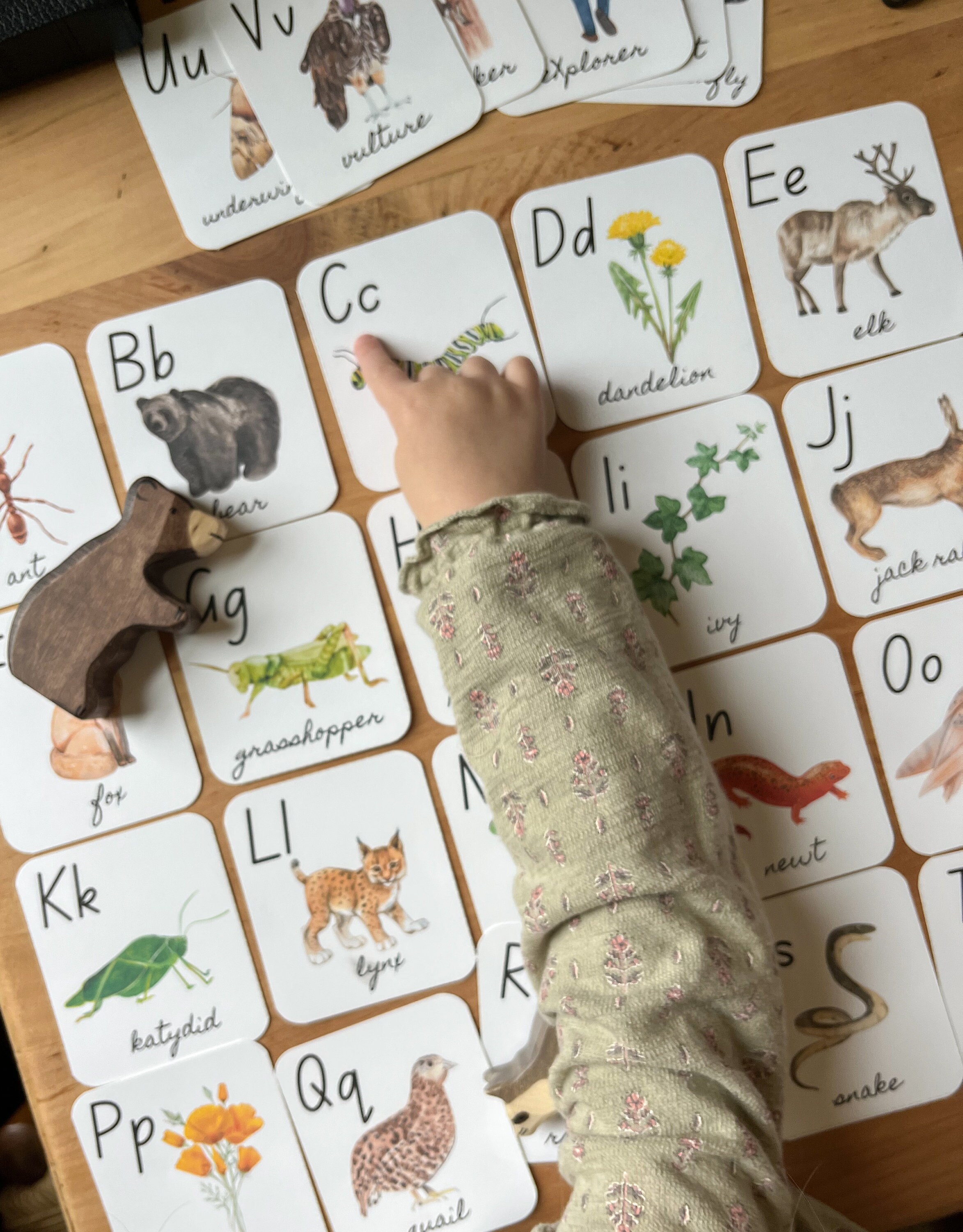 The Woodland Alphabet, Nature Printable Cards for Kids, Forest Alphabet ...