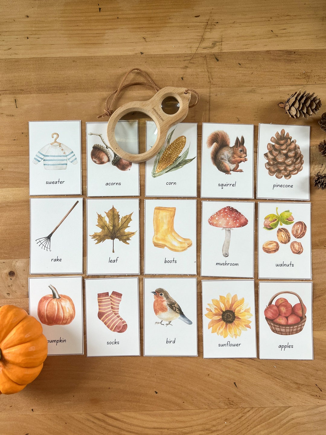 Fall Vocabulary Flash Cards Printable, Educational Digital Download for ...
