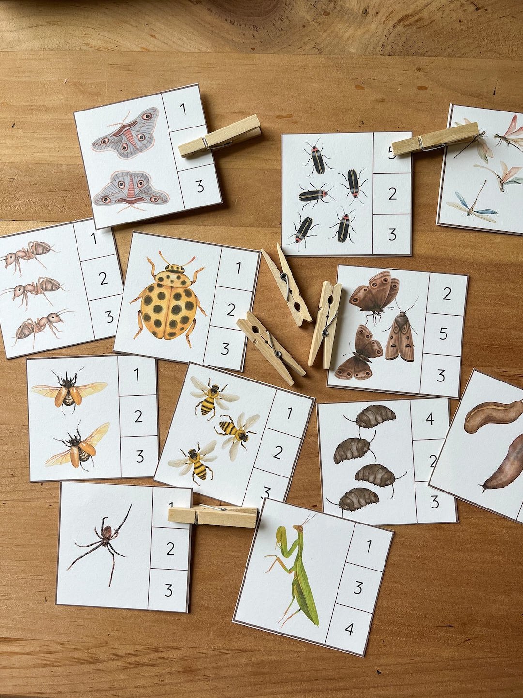 Bug Count and Clip Cards for Toddlers, Preschool Homeschool Resource ...