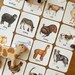 Farm Animal Flash Cards Printable, Educational Digital Download for ...