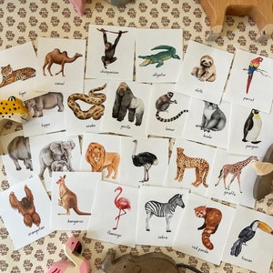 Zoo Animal Flash Cards Printable, Educational Digital Download for Kids ...