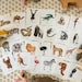 Zoo Animal Flash Cards Printable, Educational Digital Download for Kids ...