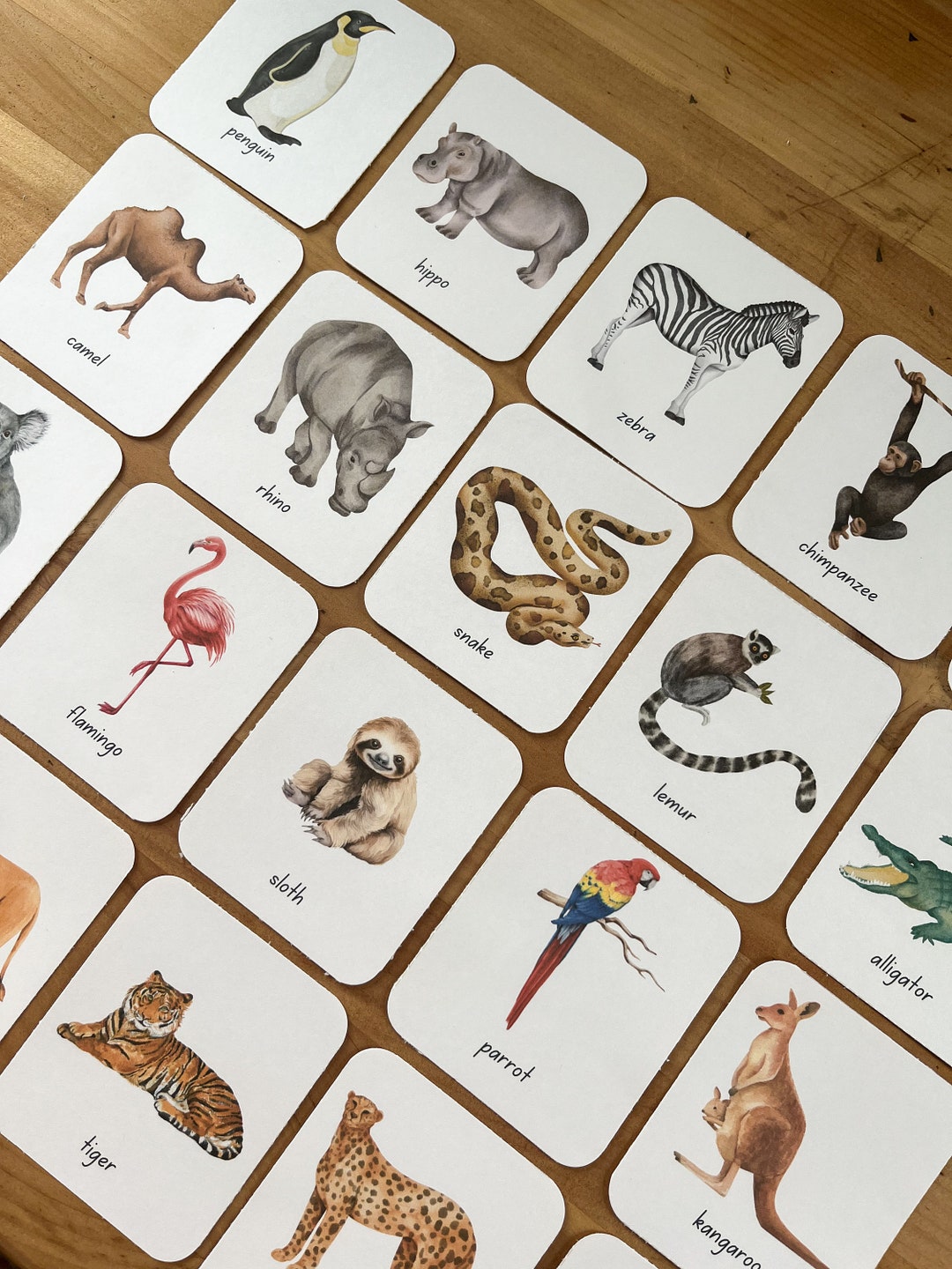 Zoo Animal Flash Cards Printable, Educational Digital Download for Kids ...