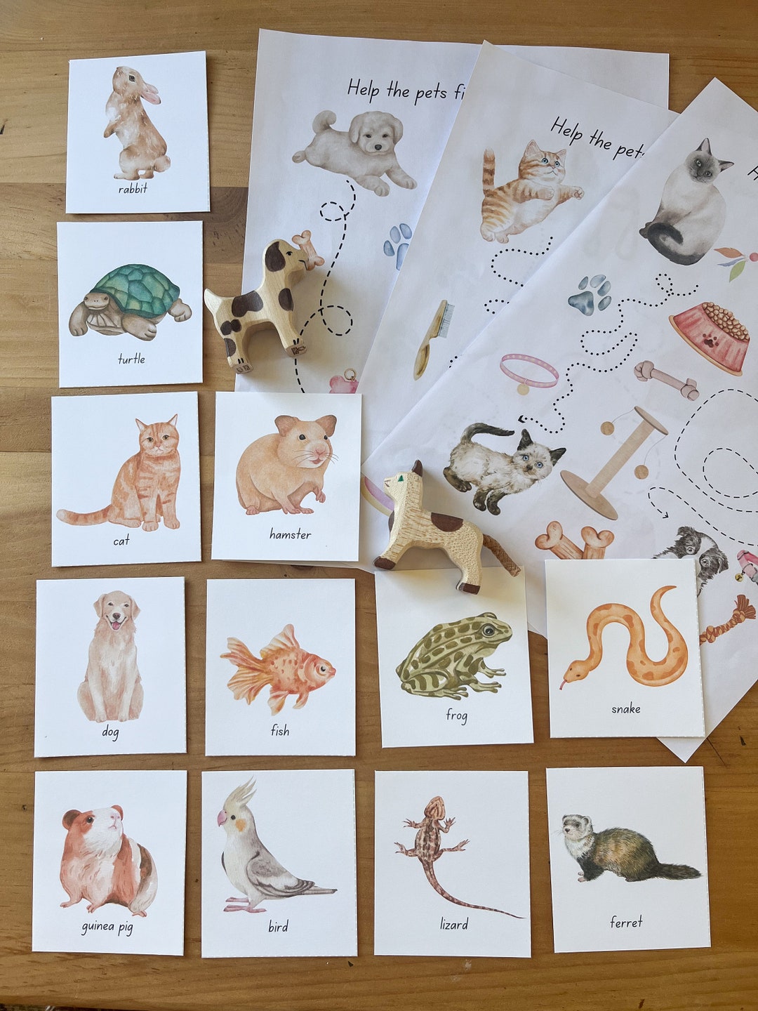 Pet Themed Preschool Activity, Pet Flash Cards & Activities Printable ...