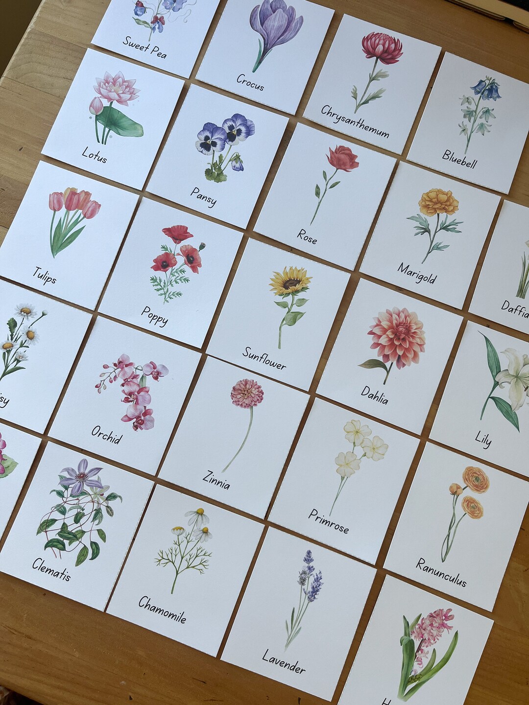 Floral Flash Cards Printable, Educational Digital Download for Kids ...