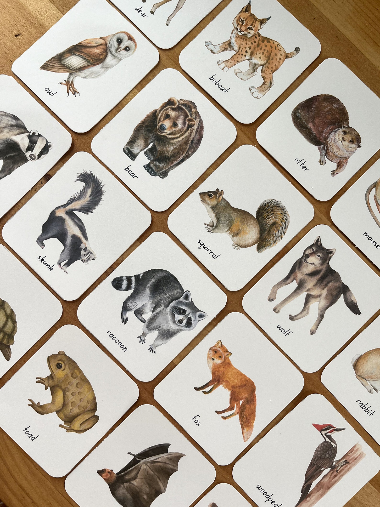 Woodland Animal Flash Cards Printable, Educational Digital Download for ...