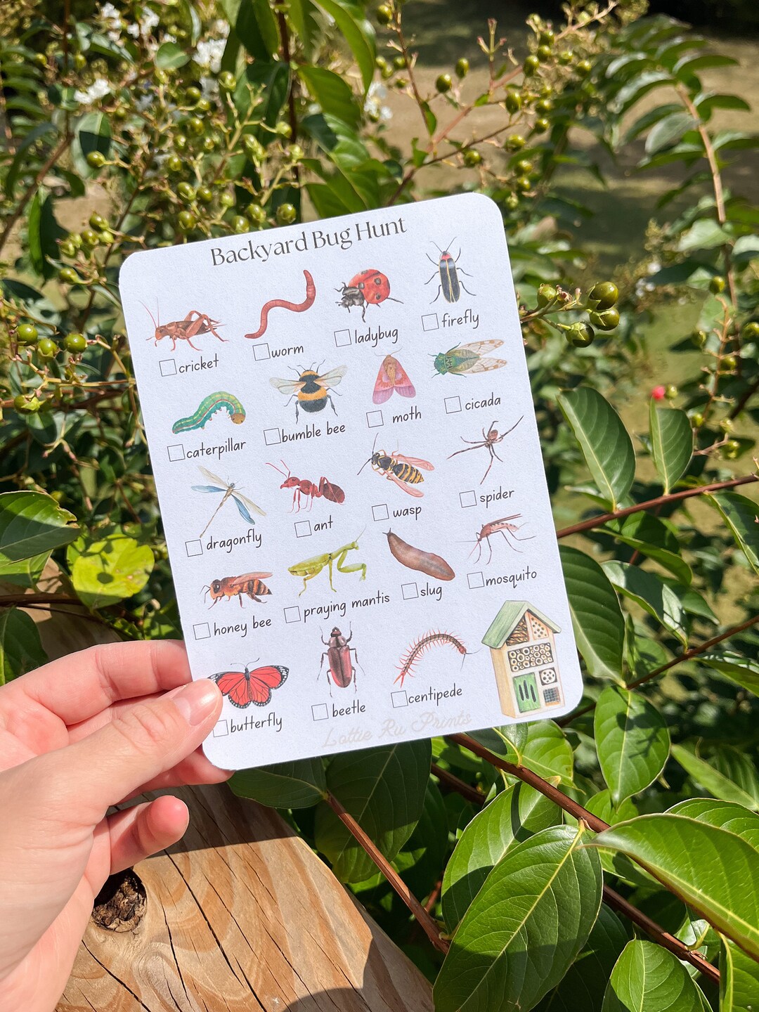 Backyard Bug Hunt, Nature Scavenger Hunt Printable, Toddler Outdoor ...