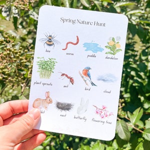 Seasonal Nature Scavenger Hunt Printable Bundle, Toddler Outdoor ...