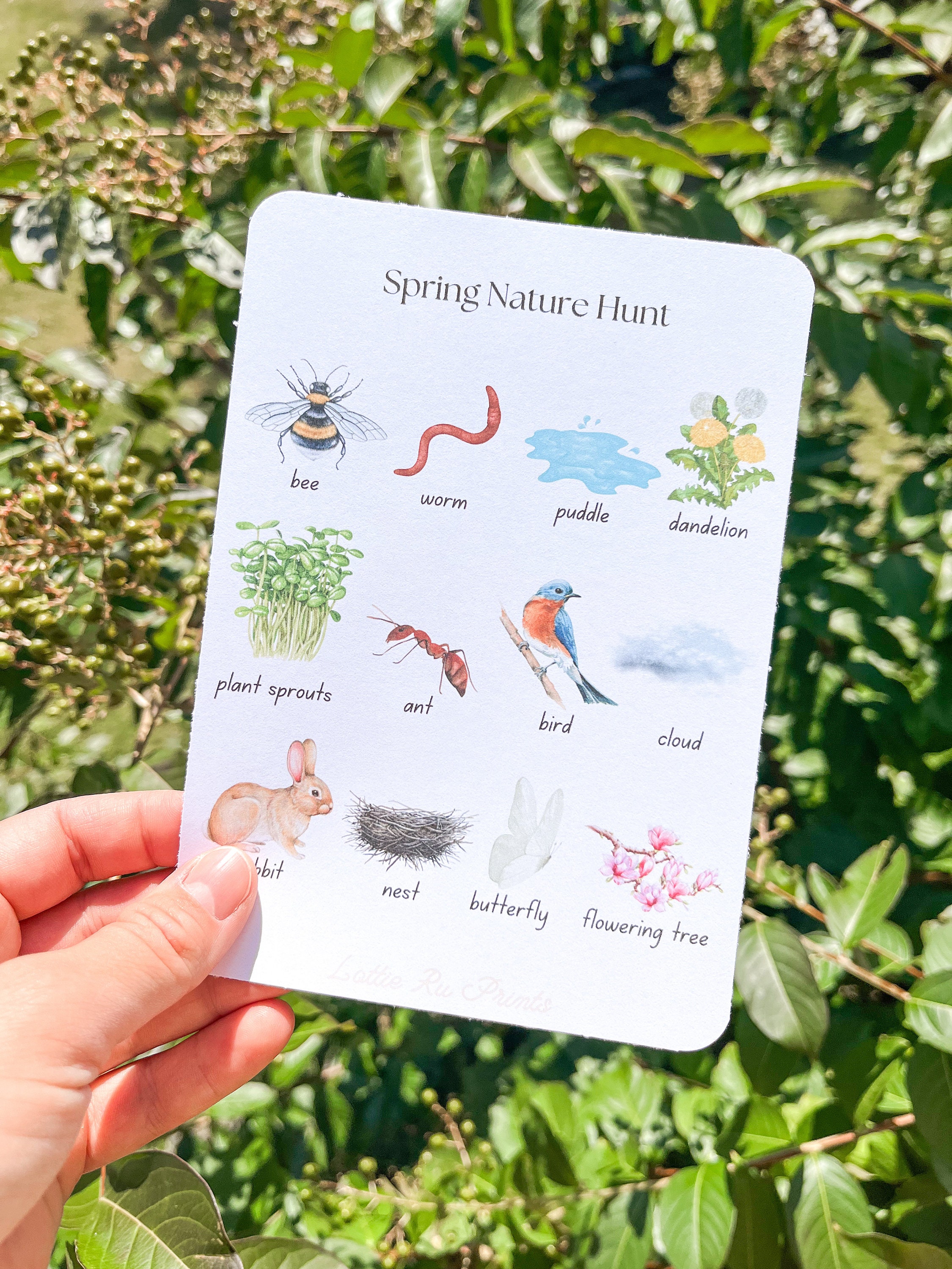 Seasonal Nature Scavenger Hunt Printable Bundle, Toddler Outdoor ...