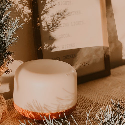 Willow Glass Dome & Wood Grain Diffuser Essential Oil - Etsy