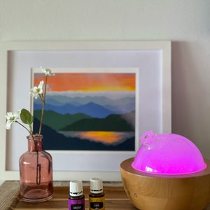 Willow | Glass Dome & Wood Grain Diffuser | Essential Oil Diffuser - Etsy