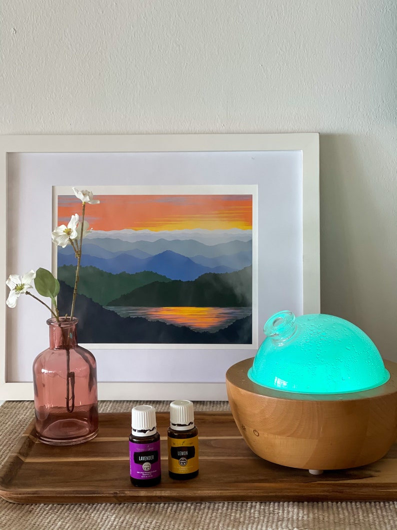 Willow Glass Dome & Wood Grain Diffuser Essential Oil - Etsy