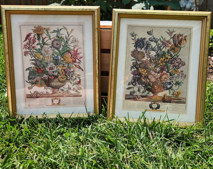 Robert Furber "12 Months of Flowers" Gold Framed Prints - April ...