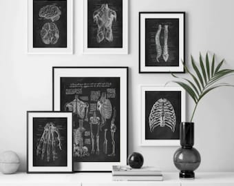 Anatomy Blackboard Canvas Prints Wall Art Medical Poster Prints Human ...