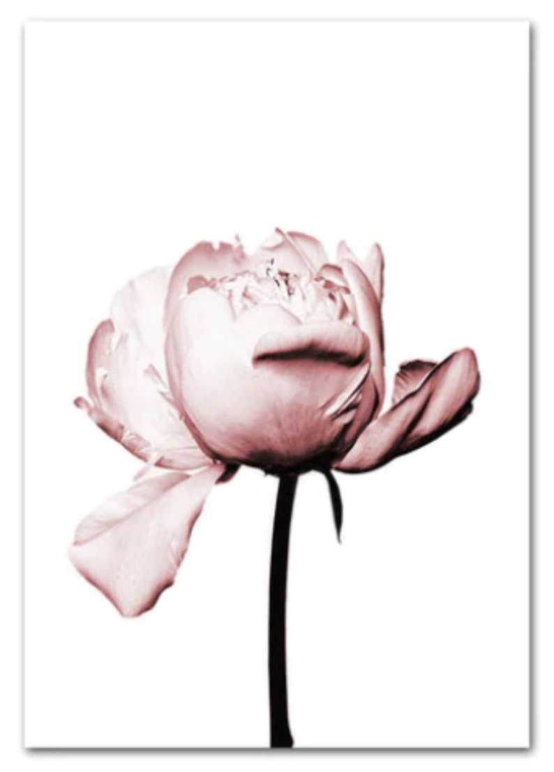 Islamic Canvas Material Poster Prints • Wall Art • Allah • Mosque ...