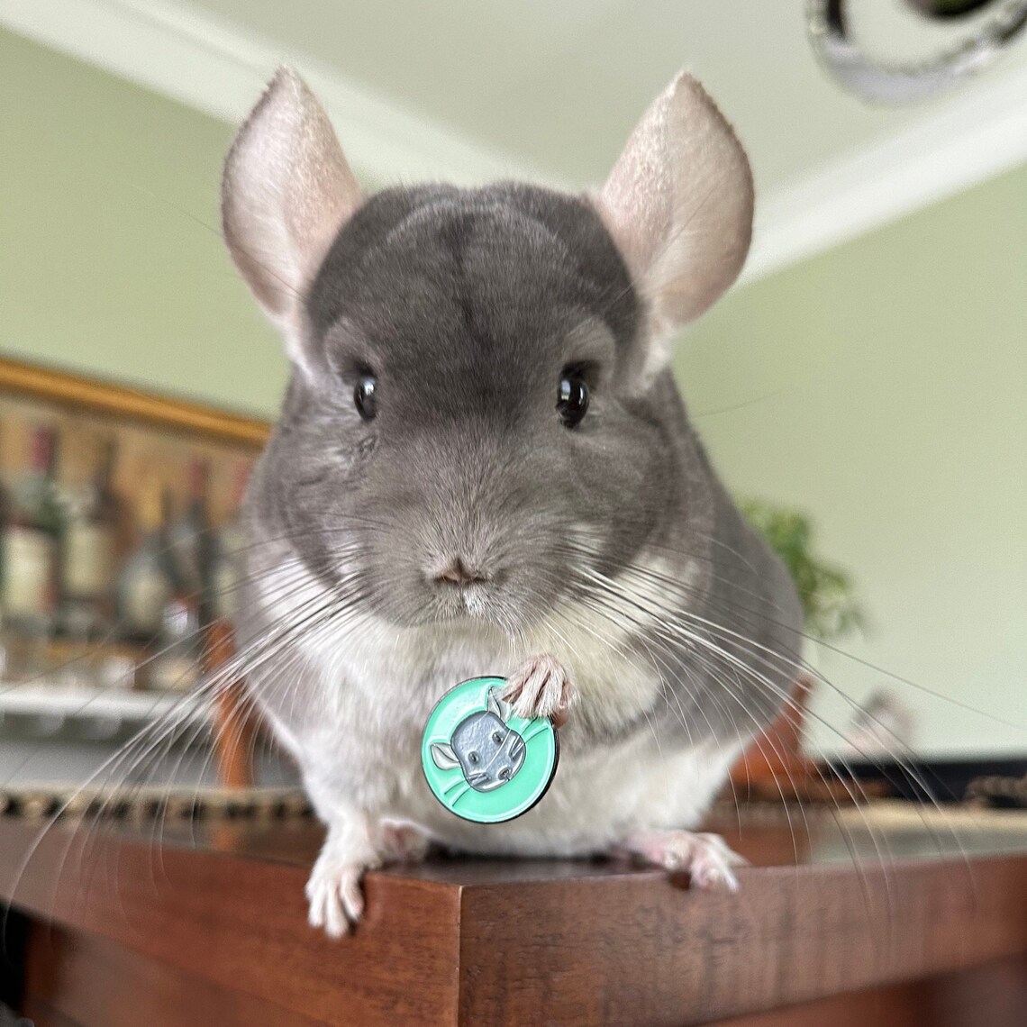 Chinpals Metal Enamel Chinchilla Pin - Etsy