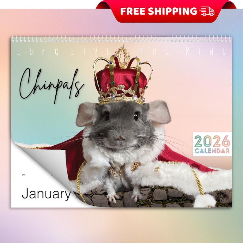 2026 Chinpals Chinchilla Wall Calendar - Etsy