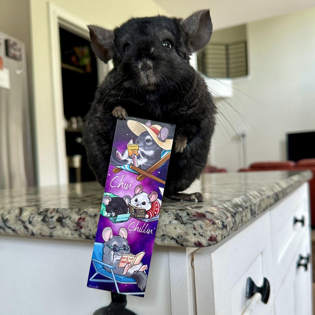 Chinchillin' Chinchilla Bookmark - Etsy