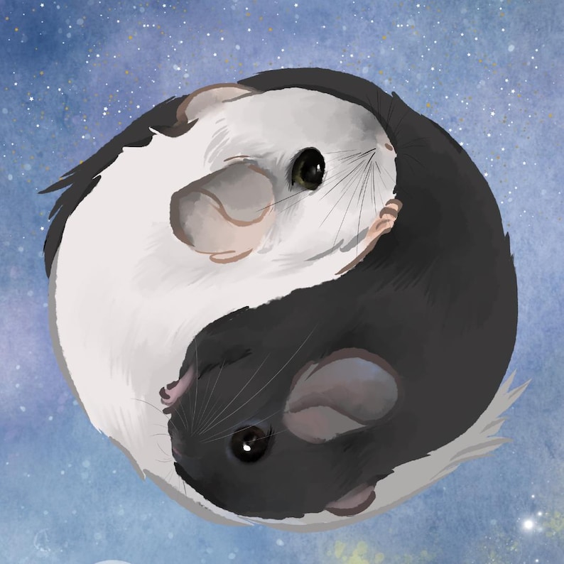 Chin & Yang - Magnets and Stickers - Etsy
