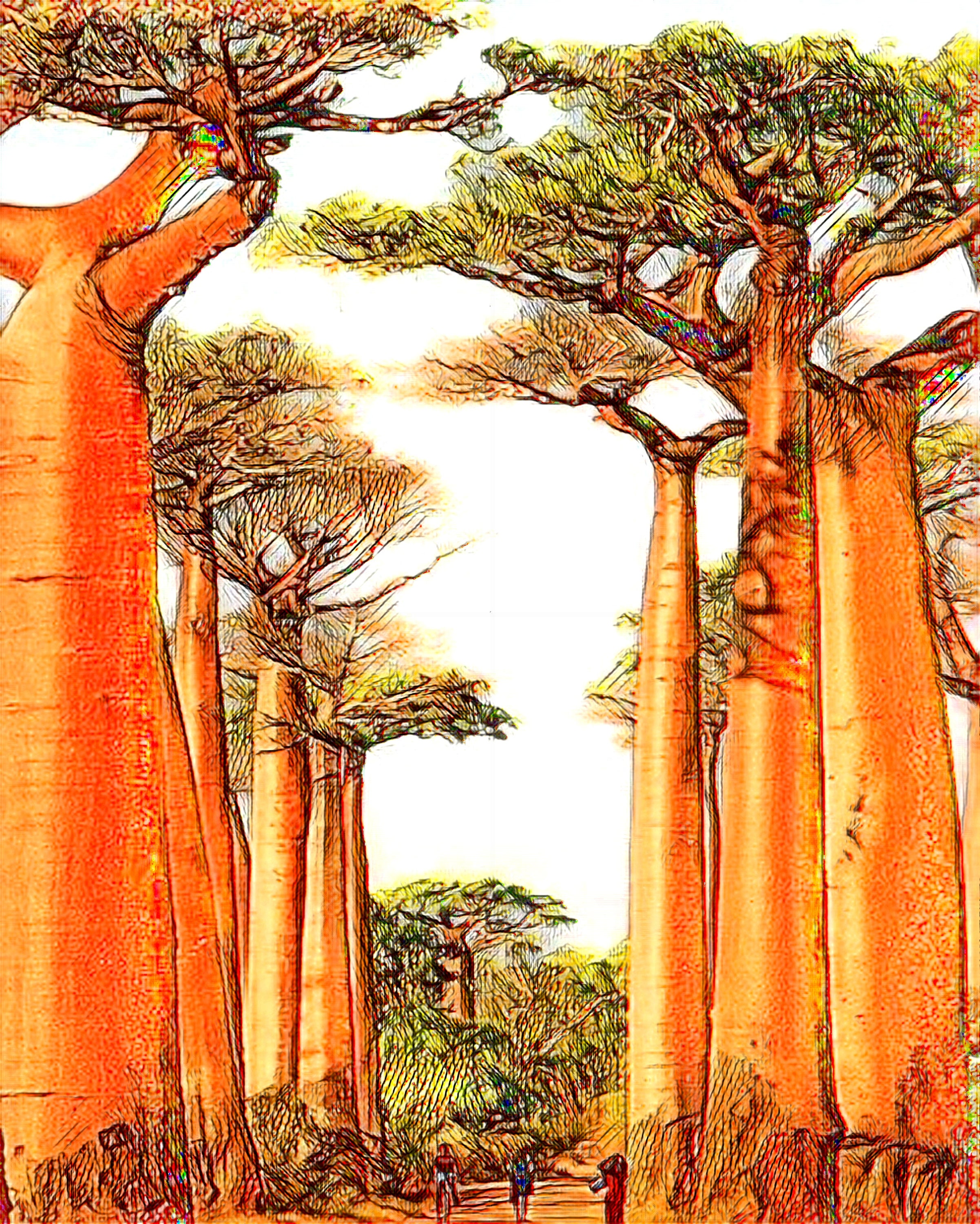 Baobab Trees in Madagascar, Plants and Trees, Printable Wall Art ...