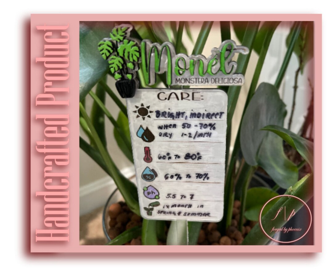 Acrylic Plant Care Stake - Etsy