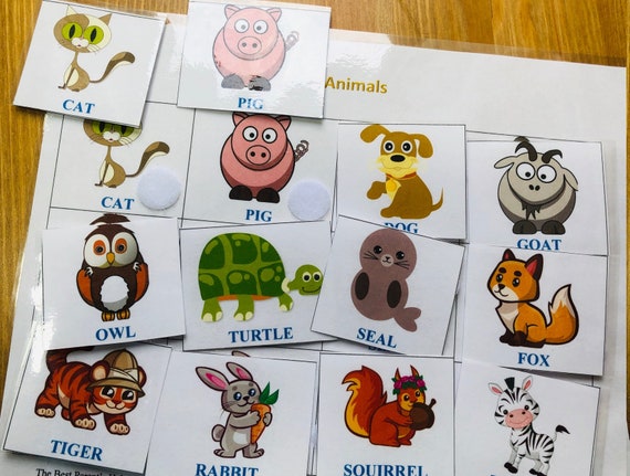 Printable PDF Download Animals Home Education Starting | Etsy