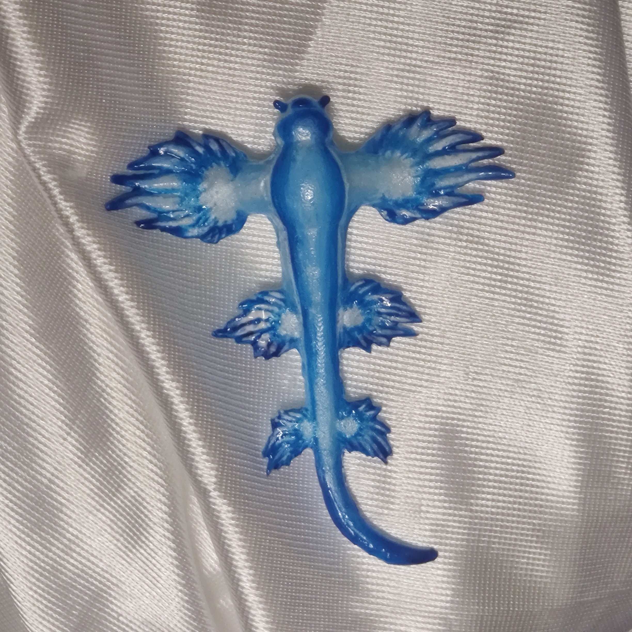 Blue Dragon Sea Slug Tattoo