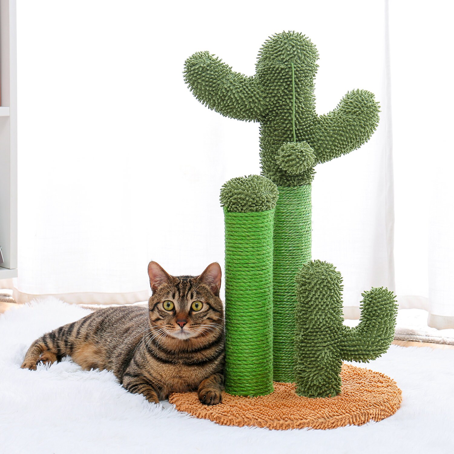 Cactus Kittens