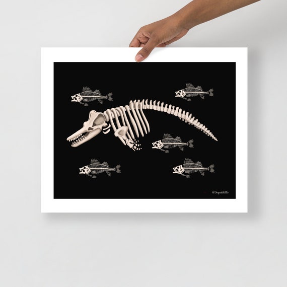 Salmon Skeleton