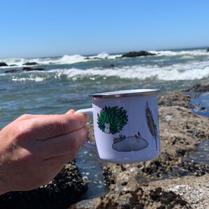 Sea Slug Enamel Mug | Nudibranch Camping Cup | Intertidal Zone Art ...