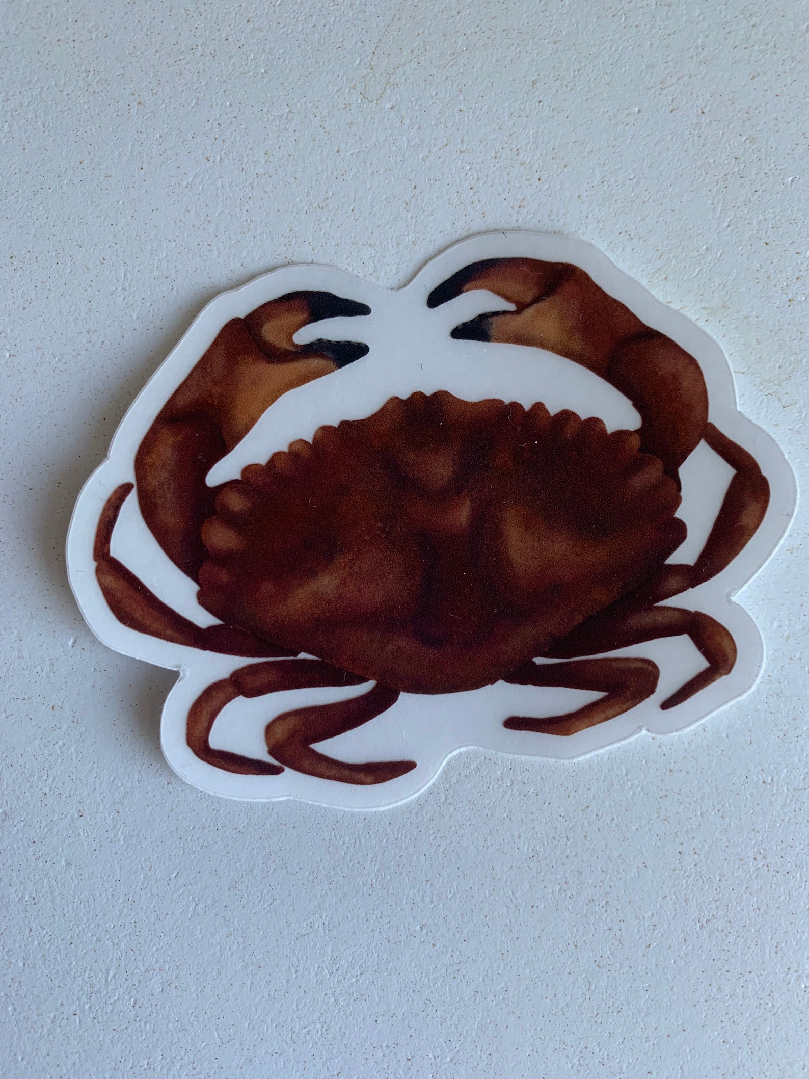 Red Rock Crab Sticker Salish Sea Red Crab Decal Intertidal - Etsy