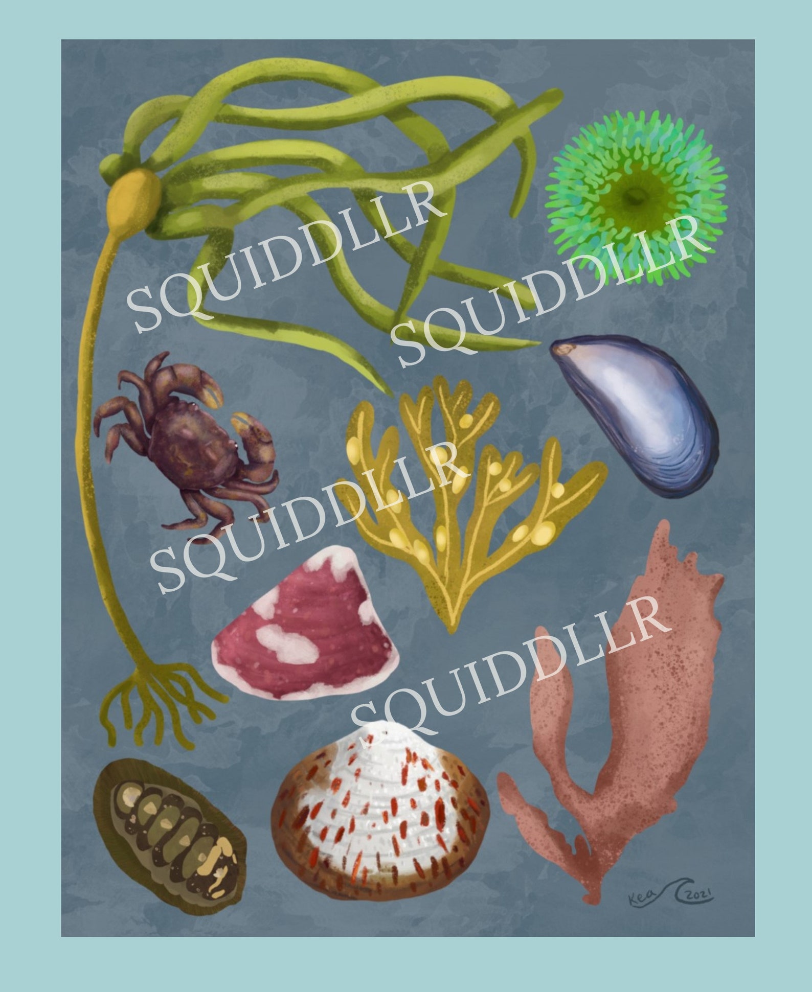 Salish Sea Creatures Downloadable Art Print | Printable Artwork | Beach ...
